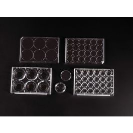PROGENE® Glass Bottom Plates for Adherent Cells